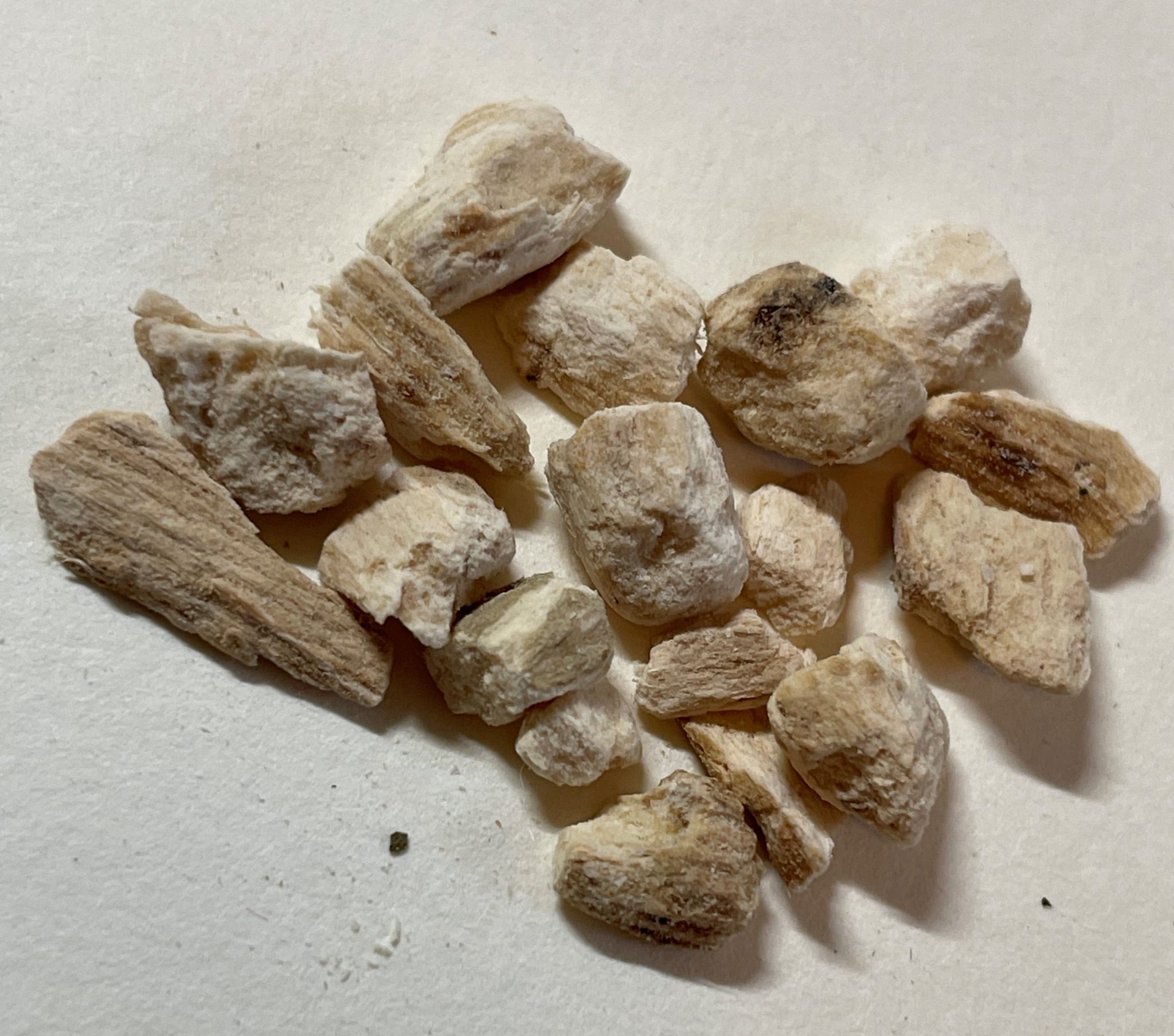 Acorus calamus / Kalamus – Dr. Albert Syen || Arzt für Allgemeinmedizin ...