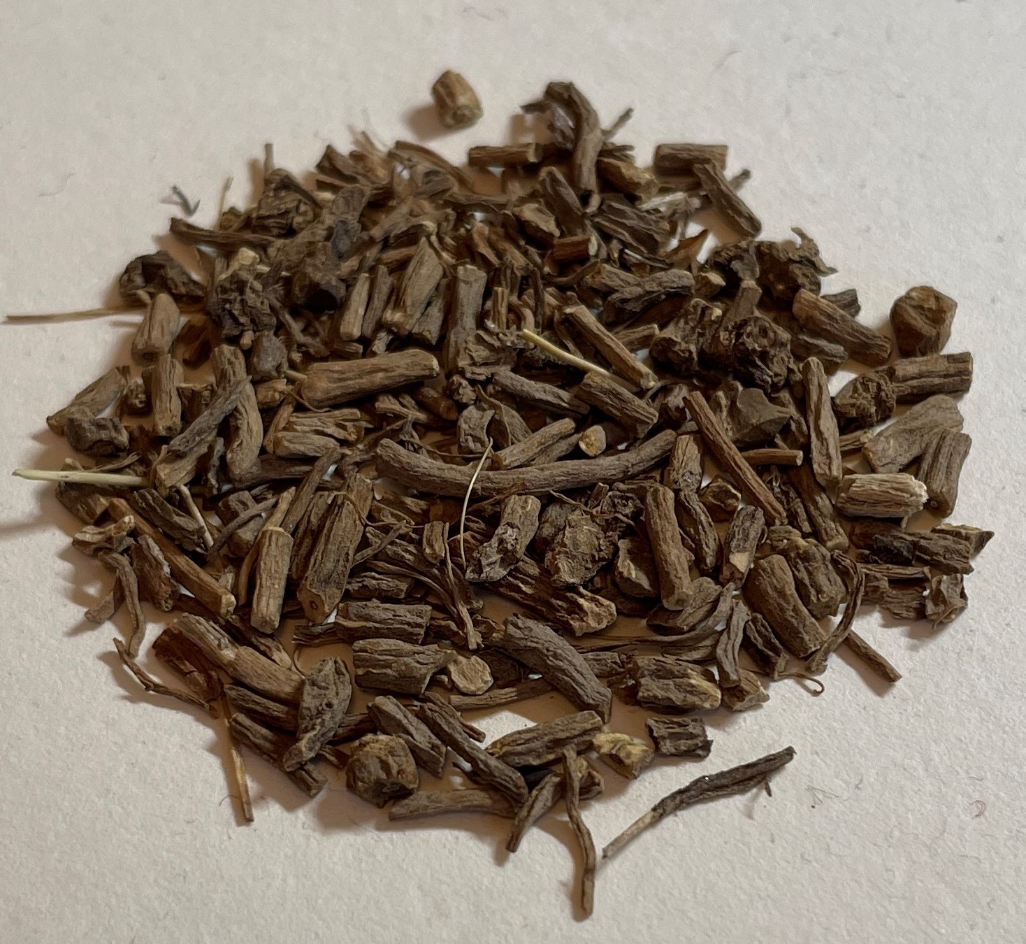 Valeriana officinalis/Baldrian – Dr. Albert Syen || Arzt für ...